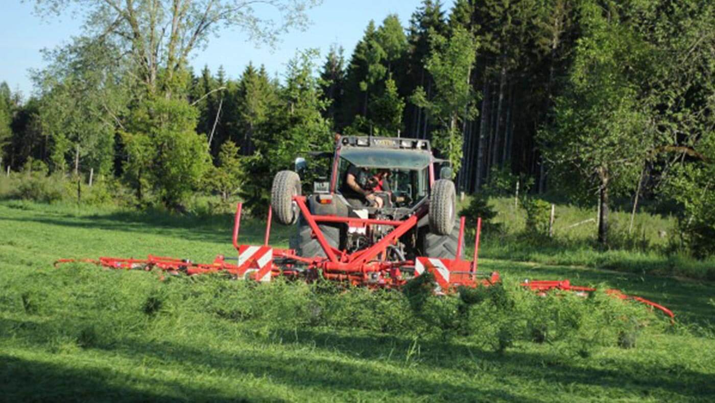 Fortørking er lønnsomt - Orkel